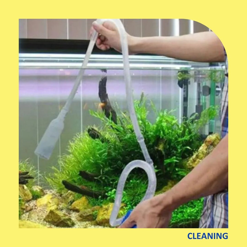 Aquabird Pet Centre – Aquabird Toowoomba